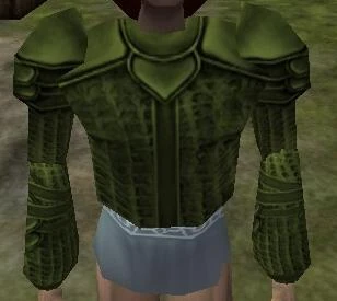 Gromnie Hide Coat | Asheron's Call Community Wiki | Fandom