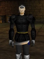 Silyun Chapterhouse | Asheron's Call Community Wiki | Fandom