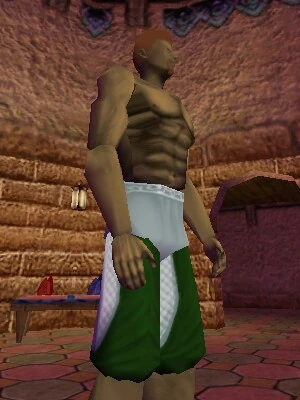 Seasoned Explorer Tassets | Asheron's Call Community Wiki | Fandom