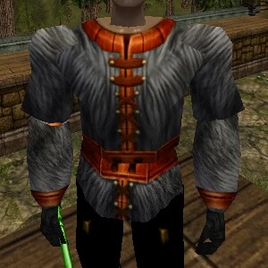 Furry Mattekar Hide Coat | Asheron's Call Community Wiki | Fandom
