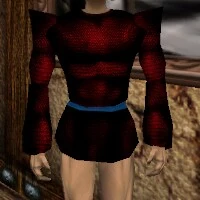 Neydisa Hauberk | Asheron's Call Community Wiki | Fandom