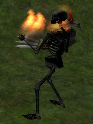 Pyre Skeleton | Asheron's Call Community Wiki | Fandom