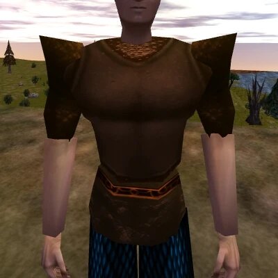 Gromnie Hide Shirt | Asheron's Call Community Wiki | Fandom