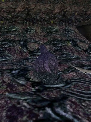 Olthoi Cistern | Asheron's Call Community Wiki | Fandom