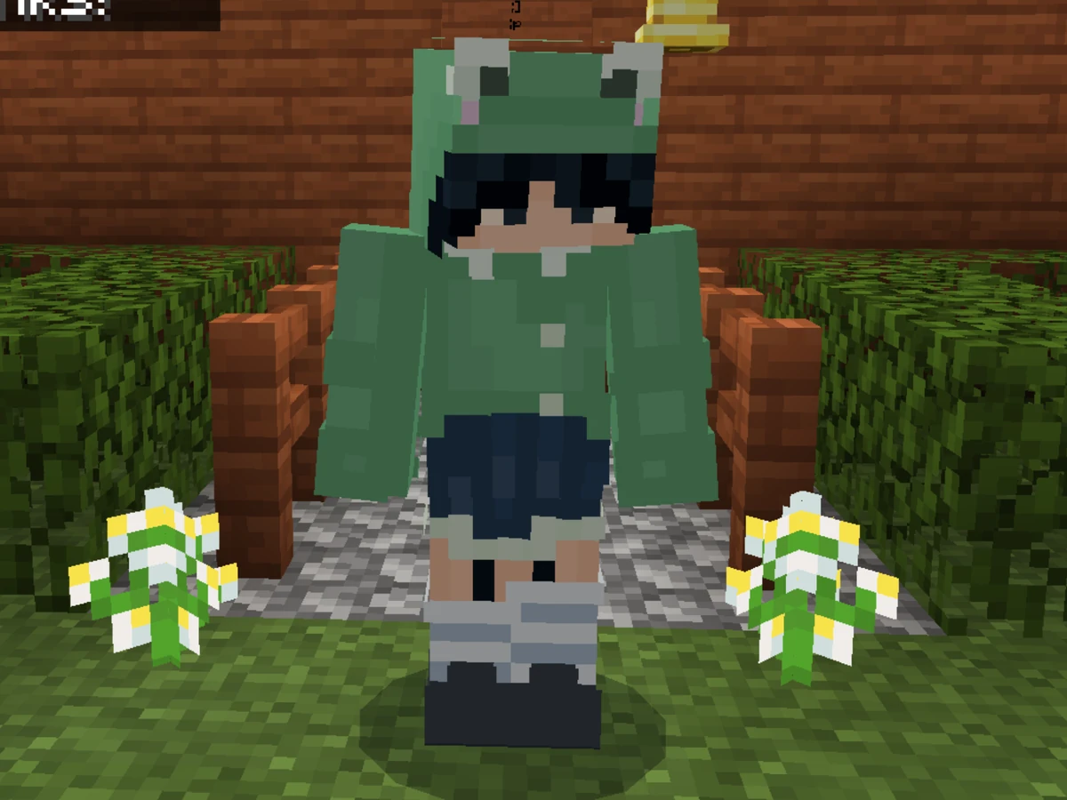 Ashishere2064 | AshSMP Wiki | Fandom