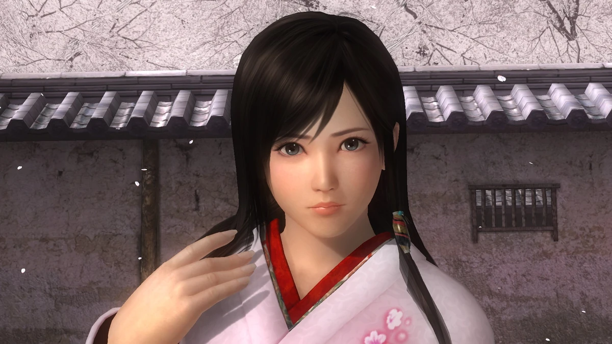 Kokoro/Gallery | Asian Animals And Characters Wiki | Fandom