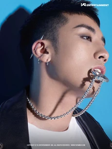 Seungri | Asian Pop Wiki | Fandom
