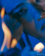 Dex | Asian Variety Shows Wiki | Fandom