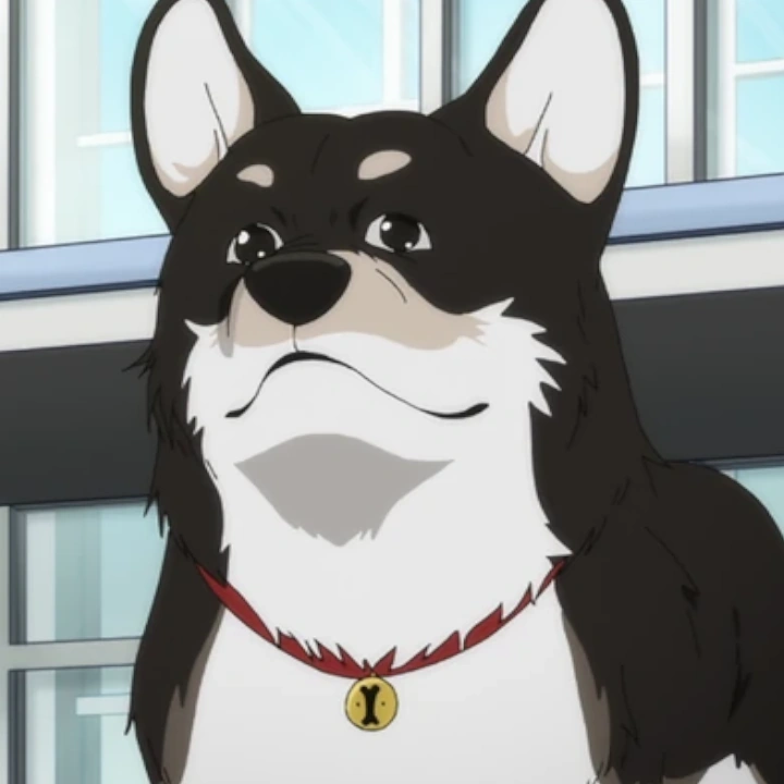 Zwei | Asia's Crossover Adventures Wiki | Fandom