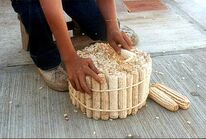 EL CULTIVO DE LA TIERRA | Wiki José Salazar Cárdenas | Fandom