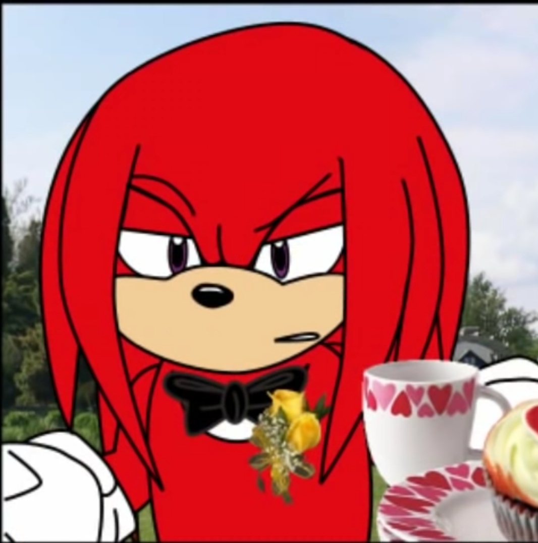 Knuckles Ask The Sonic Heroes Wiki Fandom