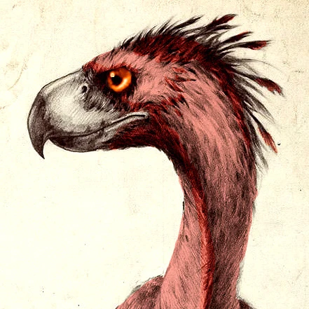 Category:Creatures | Asrakhor Wikia | Fandom