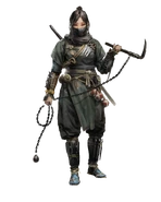 Fujibayashi Naoe | Assassin's Creed Wiki | Fandom