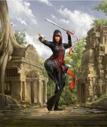 Shao Jun/Gallery | Assassin's Creed Wiki | Fandom