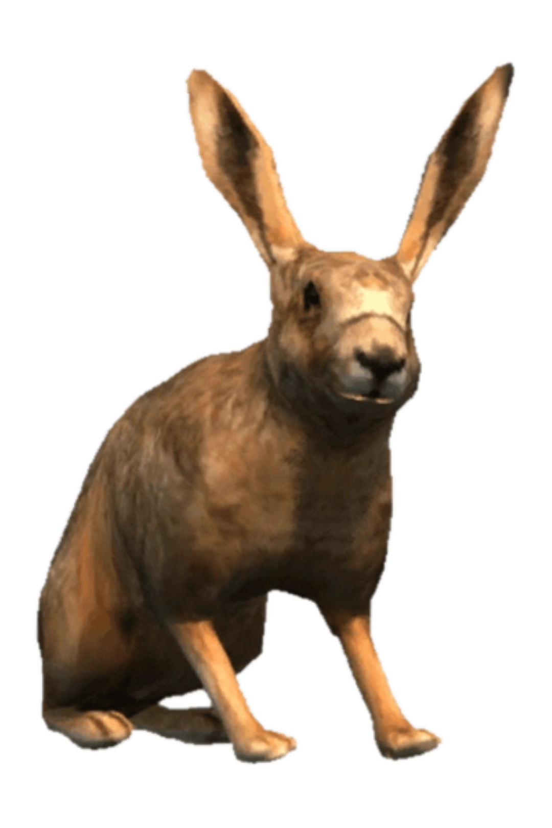 Database: Lepre | Assassin's Creed Wiki | Fandom