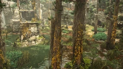 Hidden Swamp | Assassin's Creed Wiki | Fandom