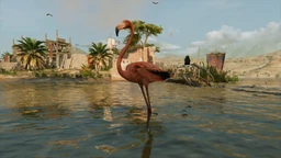 Flamant rose | Wiki Assassin's Creed | Fandom