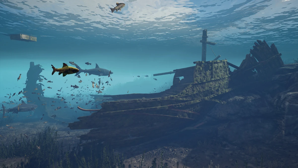 Shark Bay | Assassin's Creed Wiki | Fandom