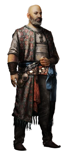 Dervis | Assassin's Creed Wiki | Fandom