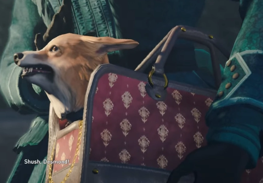 Desmond (Chihuahua) | Assassin's Creed Wiki | Fandom