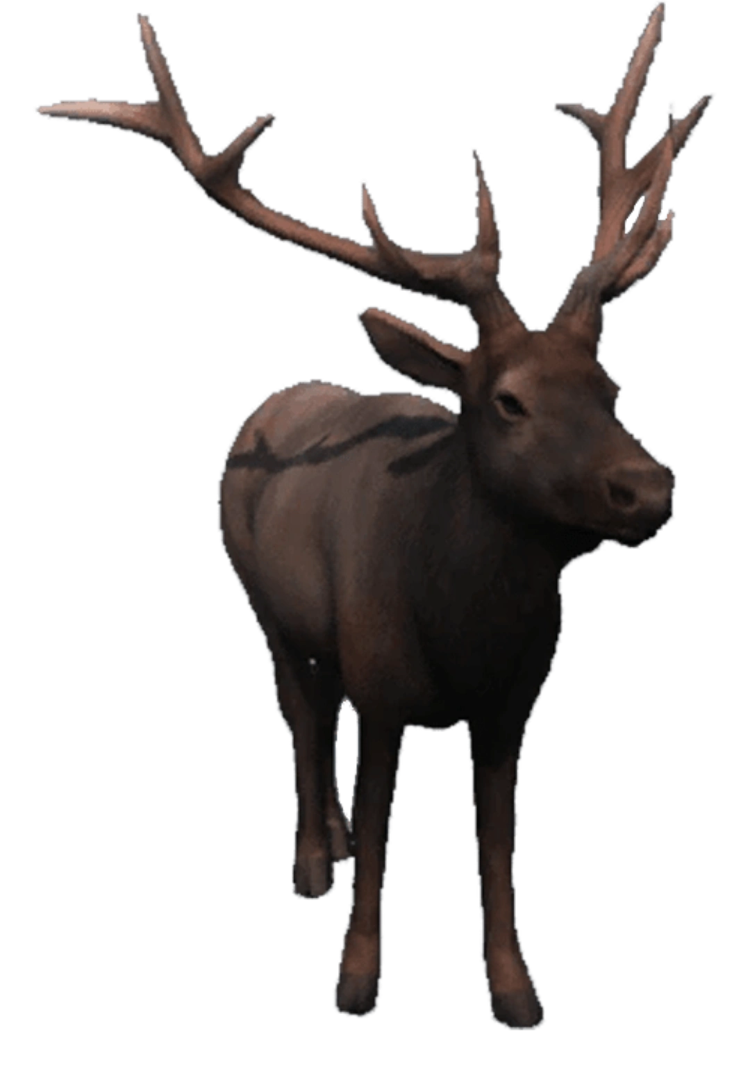 Database: Alce maschio | Assassin's Creed Wiki | Fandom