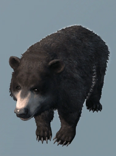 Database: Bear | Assassin's Creed Wiki | Fandom