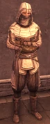 Italian Brotherhood of Assassins | Assassin's Creed Wiki | Fandom