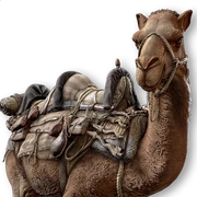 Camel | Assassin's Creed Wiki | Fandom