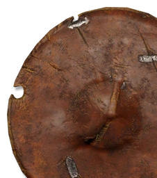 Worn Shield | Assassin's Creed Wiki | Fandom