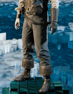 Prowler Breeches | Assassin's Creed Wiki | Fandom