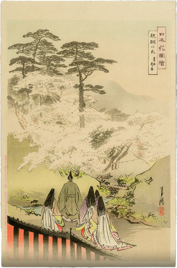 Database: Hanami | Assassin's Creed Wiki | Fandom