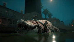 Petsuchos | Assassin's Creed Wiki | Fandom