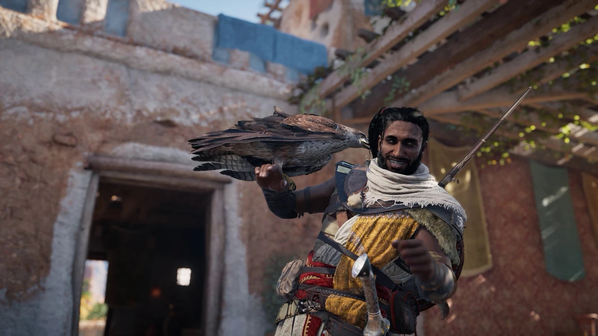 The Oasis | Assassin's Creed Wiki | Fandom