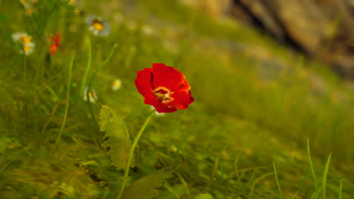 Poppy | Assassin's Creed Wiki | Fandom