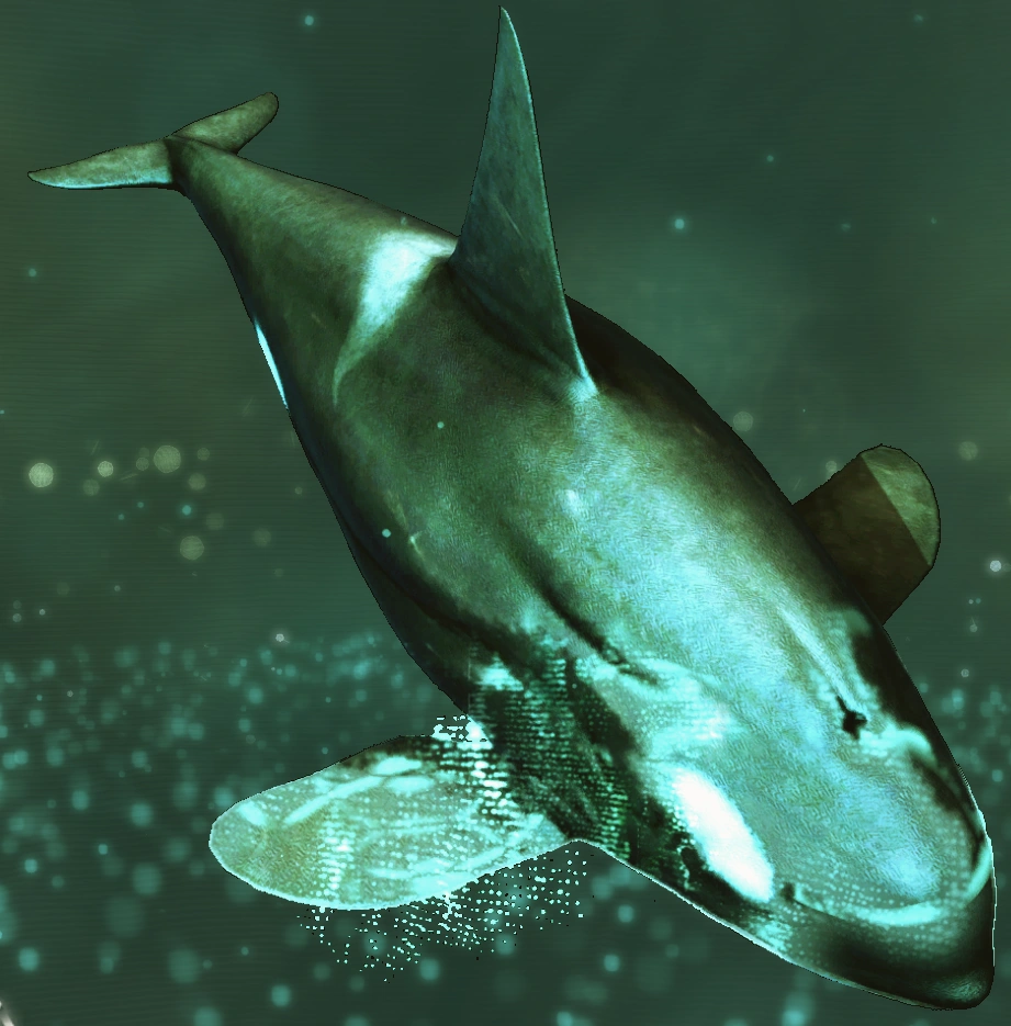 Orka | Assassin's Creed Wiki | Fandom