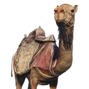 Camel | Assassin's Creed Wiki | Fandom