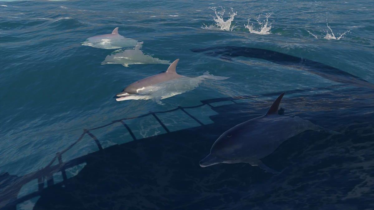 Bottlenose dolphin | Assassin's Creed Wiki | Fandom