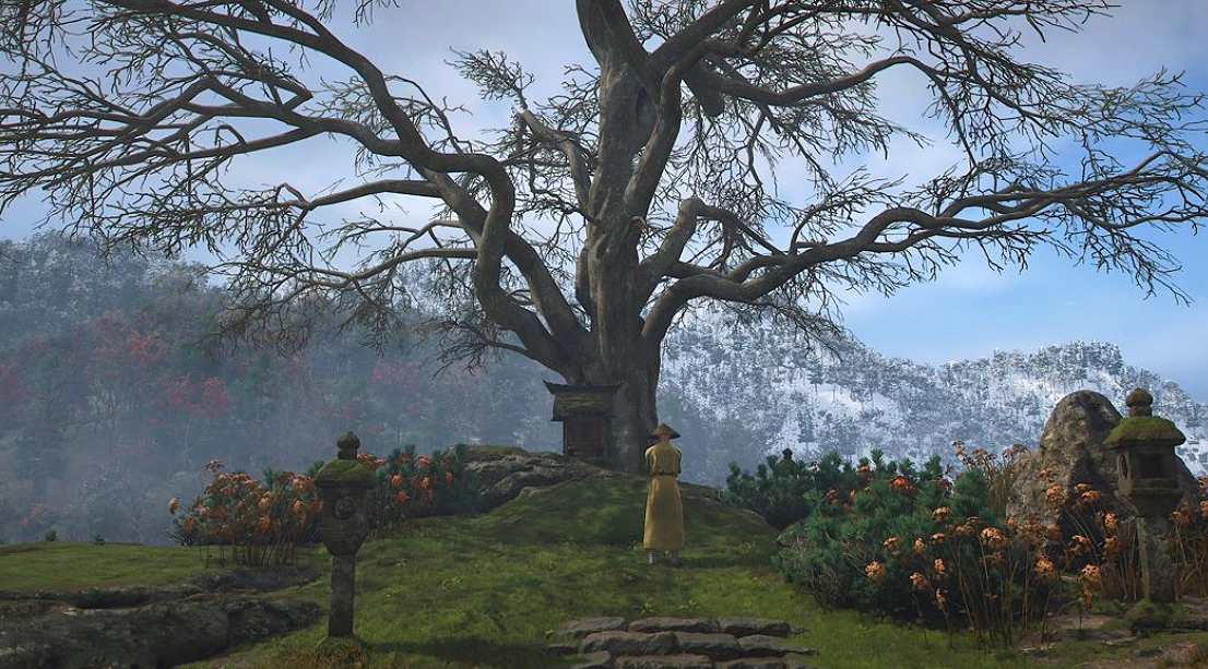 Kamikoga's Ippon Sugi | Assassin's Creed Wiki | Fandom