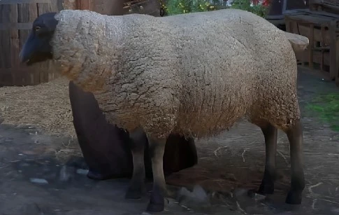 Fenton | Assassin's Creed Wiki | Fandom