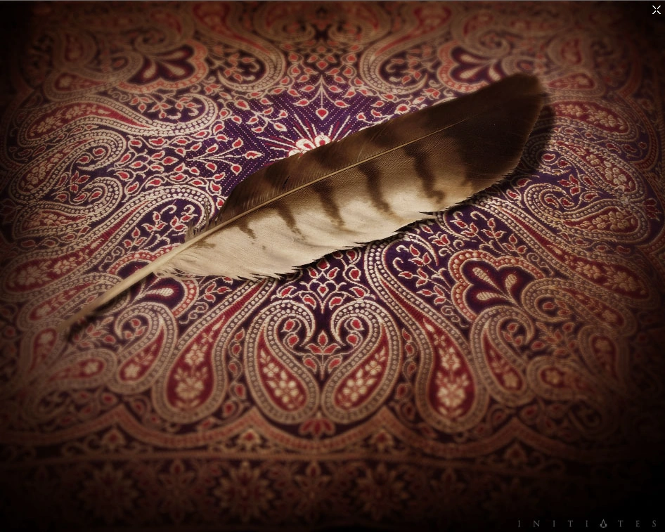 Feather | Assassin's Creed Wiki | Fandom