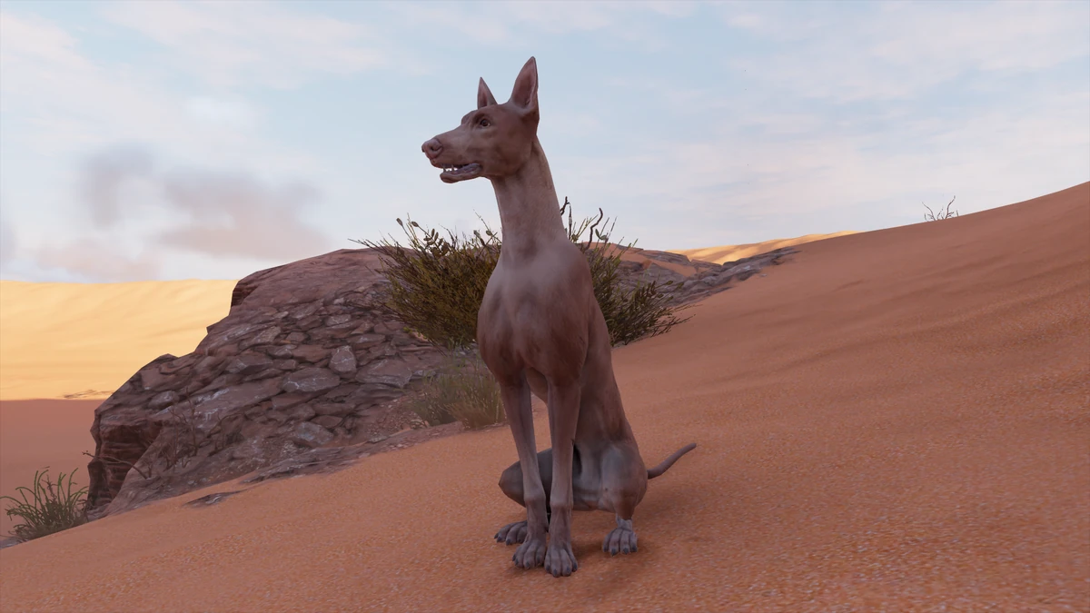 Anta | Wiki Assassin's Creed | Fandom