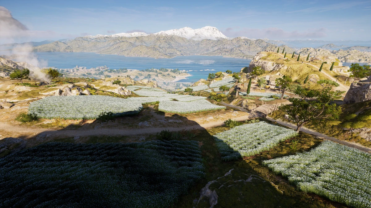 Boura | Assassin's Creed Wiki | Fandom