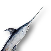 Swordfish (great sword) | Assassin's Creed Wiki | Fandom