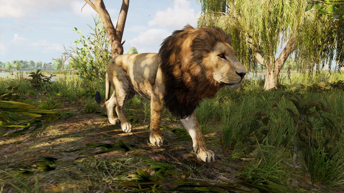 Lion | Assassin's Creed Wiki | Fandom