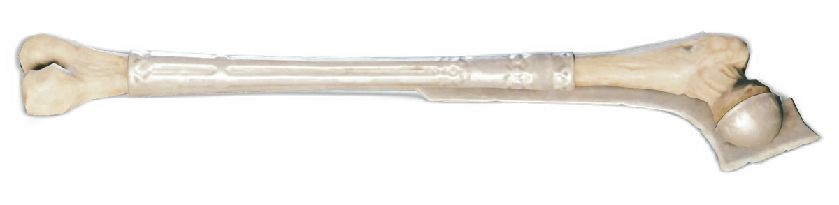 A sculpted human bone | Assassin's Creed Wiki | Fandom