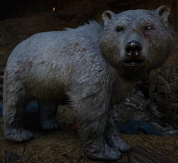 Njal | Assassin's Creed Wiki | Fandom