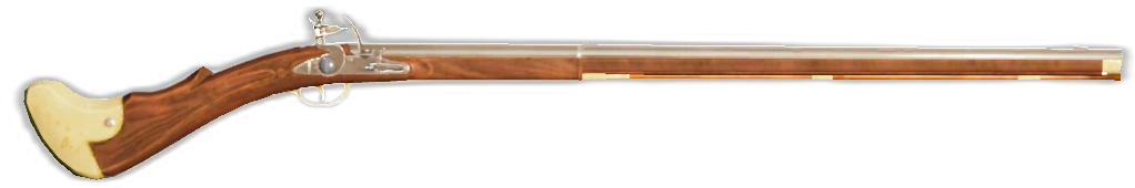 Solid Long Rifle | Assassin's Creed Wiki | Fandom