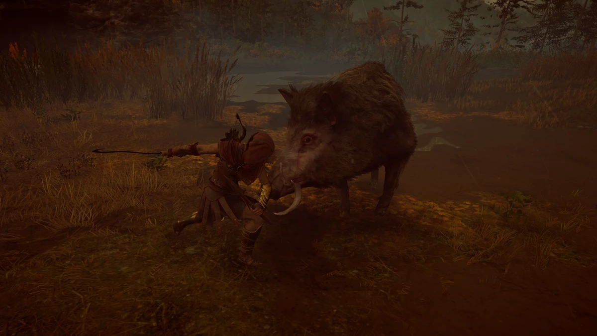 Kalydonian Boar | Assassin's Creed Wiki | Fandom