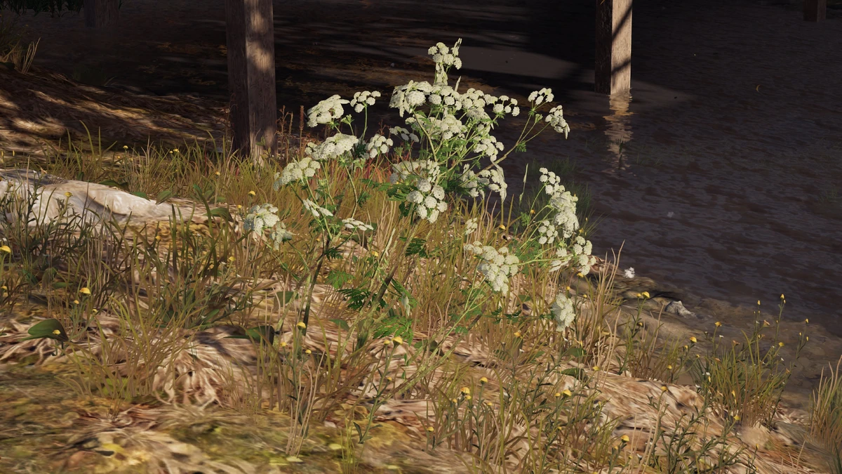 Hemlock | Assassin's Creed Wiki | Fandom