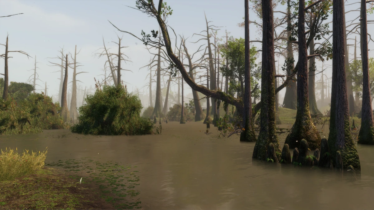 Bayou | Assassin's Creed Wiki | Fandom